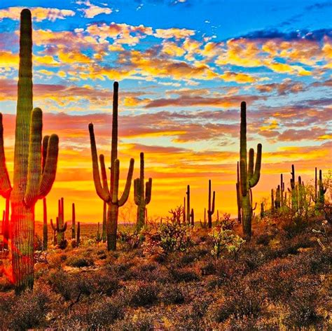 Intrepid Voyage Lichfield