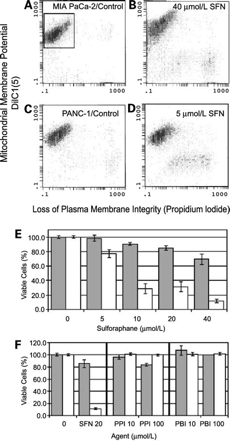 Figure 2 From The Dietary Isothiocyanate Sulforaphane Targets Pathways Of Apoptosis Cell Cycle