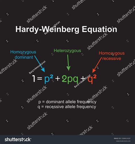 Hardy Weinberg Calculator A Comprehensive Guide With Examples And Tools