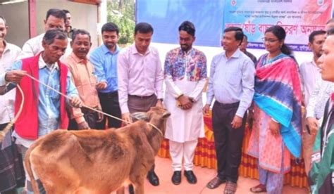 নেত্রকোনায় ক্ষুদ্র নৃগোষ্ঠীর ৮০টি পরিবারের মধ্যে গরু বিতরণ জাতীয়