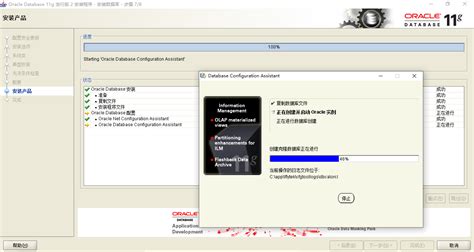 Win10 安装oracle数据库，oracle19c进度滞留在42oracle11g进度滞留在46！ Csdn社区