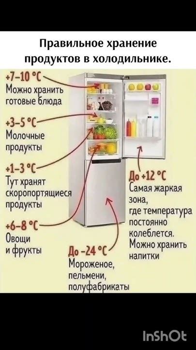 Правильное хранение продуктов в холодильнике Youtube