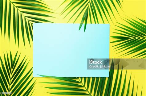 열 대 종 려 나뭇잎 종이 카드 메모와 함께 파스텔 노란색 배경에 최소한의 여름 개념입니다 크리에이 티브 레이아웃입니다 상위 뷰 평평 하다입니다 펀치 파스텔 종이에 리프