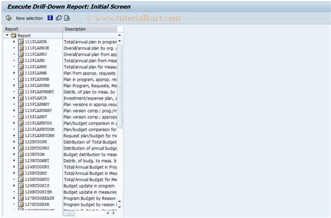 Ime0 Sap Tcode Execute Invoice Program Report