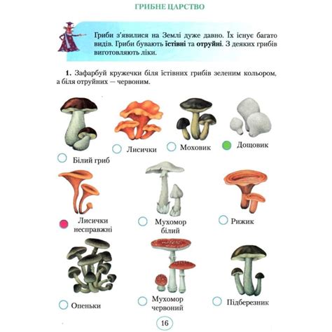 Планета Міркувань Ранок Навчальний посібник з розвитку мислення 1 клас Гісь Філяк видавництва