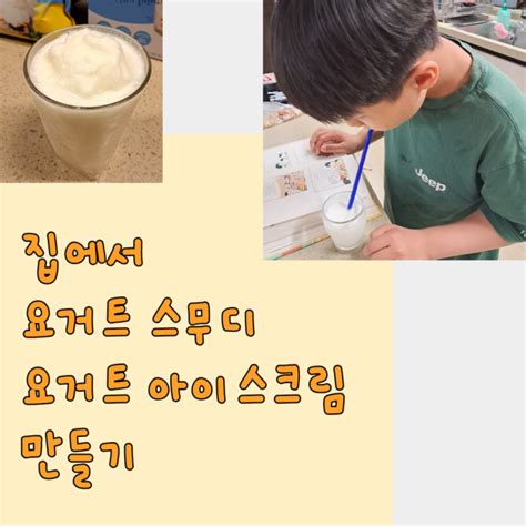 집에서 플레인 요거트 스무디 아이스크림 만들기 Feat 요거트효능 네이버 블로그