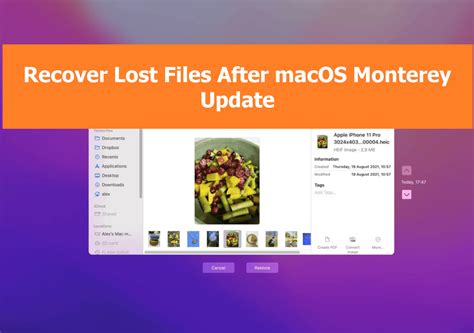 How To Recover Lost Files After Macos Monterey Update 4 Ways Easeus