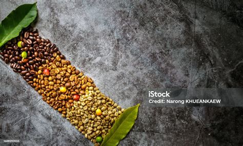 3가지 유형의 볶지 않은 원두와 미디엄 및 다크 로스팅 옵션을 특징으로 하는 커피 원두 콜라주의 평면도는 다양한 고품질 커피를 선보입니다 Robusta Coffee