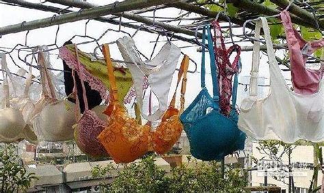 男偷女用內衣 還當場試穿 社會 中時