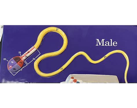 Male Reproductive System Sperm Quiz