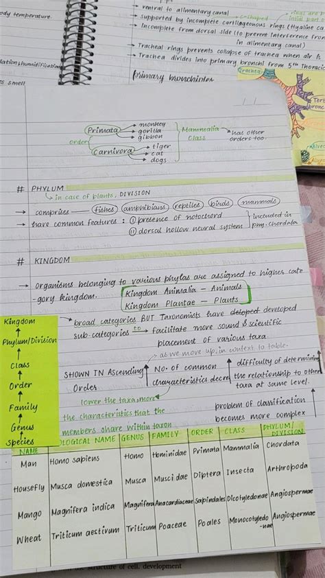 lesson plan on output devices artofit