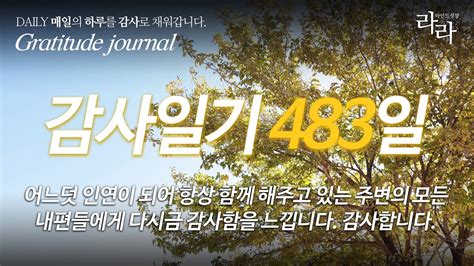 감사일기 483일 어느덧 인연이 되어 항상 함께 해주고 있는 주변의 모든 내편들에게 다시금 감사함을 느낍니다감사합니다감사일기 매일 감사로시작하는365 감사영상