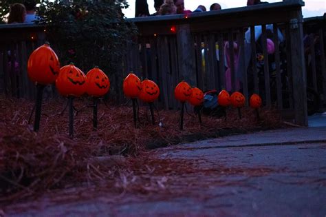 Boo Bash Carnival High Point Nc