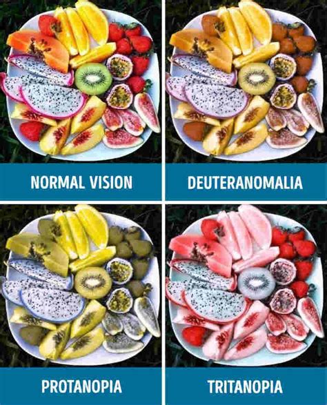 Only People With Perfect Color Vision Can Read These Words Color