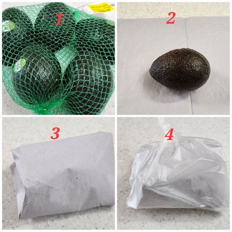 훈제연어 포케 연어 아보카도 포케 샐러드 만들기