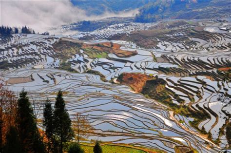 元阳梯田 让人无法忘却的美丽与震撼 新浪旅游 新浪网