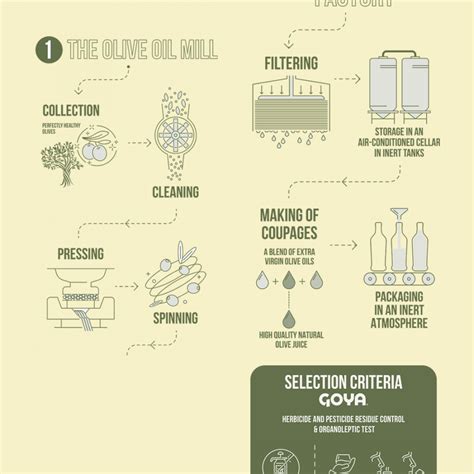 How To Make Olives Into Olive Oil