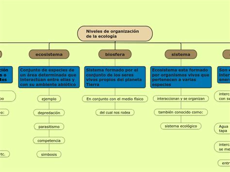 Niveles De Organización De La Ecología Mind Map