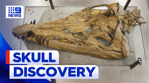 Giant Dinosaur Fossils The 10 Biggest Dinosaur Fossils Ever Found