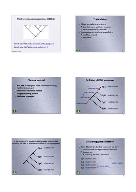 Pdf Inferring Phylogeny