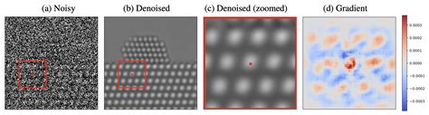 Deep Denoising For Electron Microscopy Dataset And Models