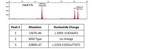 Calreticulin Calr Mutation Analysis Trimgen