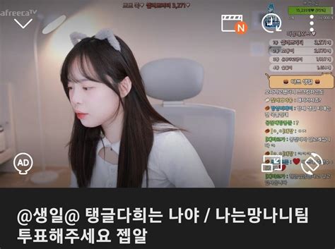 오늘 생일인 탱글 다희 아프리카tv 숲 Soop 에펨코리아