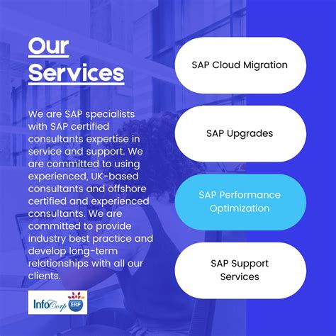 Sapexperts Businesssolutions Sapsupport Sap Infocorperp
