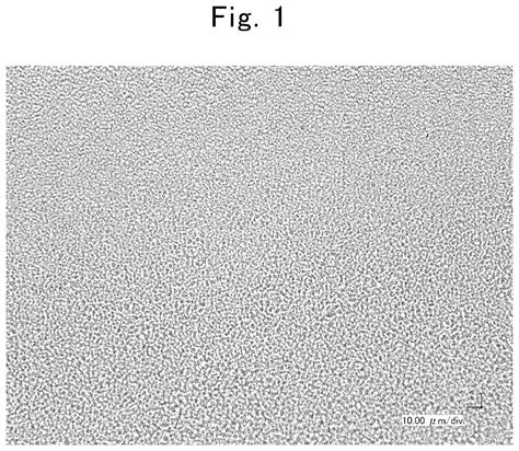 Composite Particulate Material And Production Process For The Same Composite Particulate
