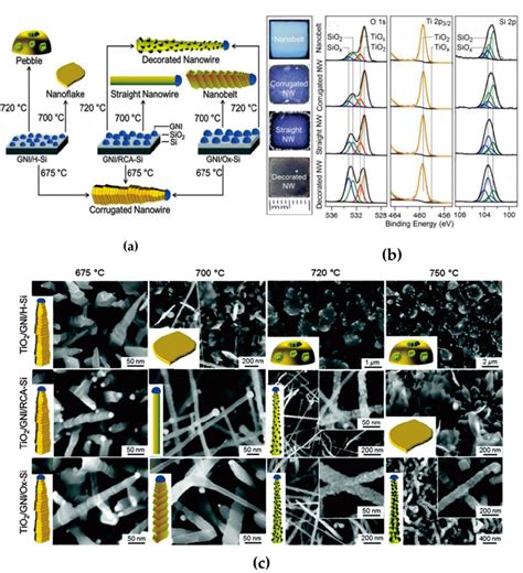 A Schematic Models Of Tio2 Nanostructures Grown On Gold Nanoisland Download Scientific