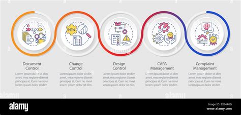 Qms Loop Infographic Template Stock Vector Image And Art Alamy