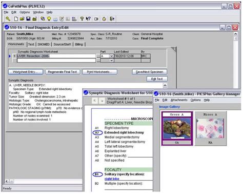 Promoting Management And Leadership Management