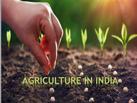 Agriculture In India Ppt Pptx