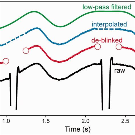 Sequential Steps Of Data Processing Raw Data Black Marked No 1 Download Scientific Diagram