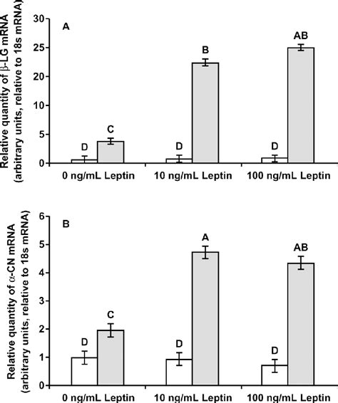 Effect Of Leptin And Prolactin On Fatty Acid Synthesis In Explants From