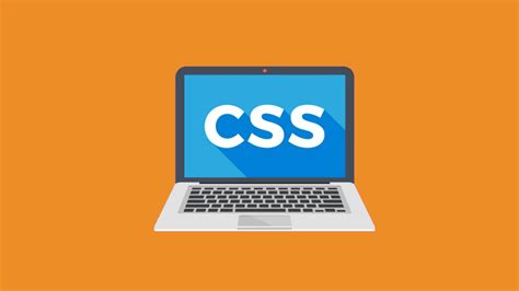 Nociones Básicas De Css Adamcod