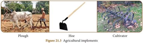 Basic Practices Of Crop Production Crop Production And Management Chapter Th Science
