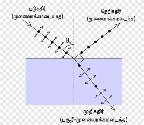 Light Refraction Diagram Igcse Physics 3 2 Light