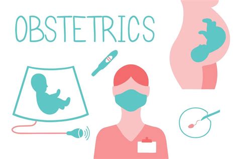 Obstetrics And Gynecology Vector Art Icons And Graphics For Free Download