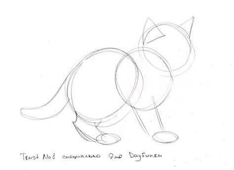 как нарисовать кота поэтапно 2 Рисовать Рисовать животных Художественные узоры
