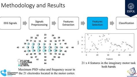 ⭐⭐⭐⭐⭐ eeg signal clustering for motor and imaginary motor tasks on hands and feet ppt