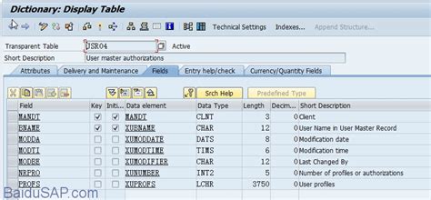 如何通过abap程序添加sapall权限 摆渡sap