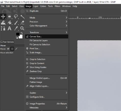 How To Change Canvas Size In GIMP 2 Quick Steps
