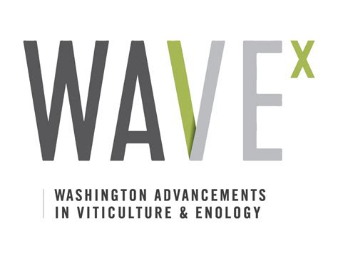 Wavex Webinar To Focus On Improving Vineyard Water Productivity Fruit Growers News
