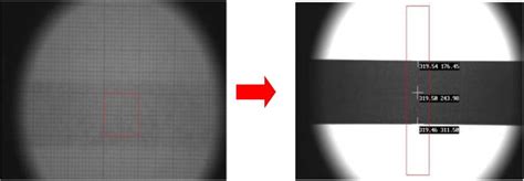 The Pixel Ratio Is Converted To The Actual Size Download Scientific Diagram