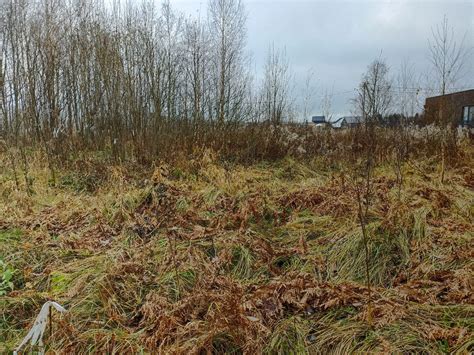 Земли сельхозназначения Московская область городской округ Истра коттеджный посёлок Нордик