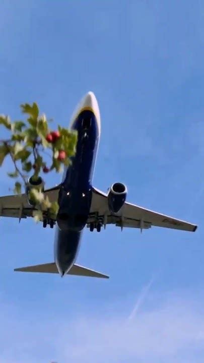 Embedded Systems Are Everywhere Today Aircraft Aviation Fact