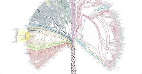 The World Religion Tree A Mapinfographic Documenting The History Of