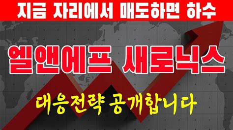 엘앤에프 주가전망 엘앤에프주가엘앤에프전망엘앤에프주식엘앤에프목표가저평가주 종목추천 엘앤에프 분석엘앤에프 주가테슬라 관련주주식투자종목추천저평가주