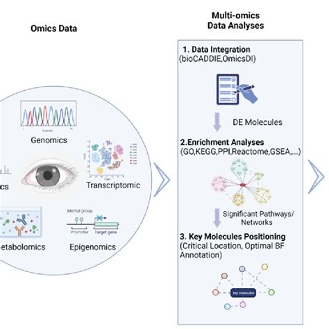 Multi Omics Approach To Identify Biomarkers For Retinal Vascular Diseases Download Scientific